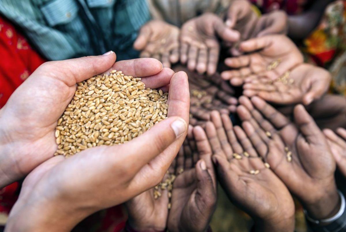 La Desigualdad De Género En Alimentación Y Agricultura Cuestan Al Mundo