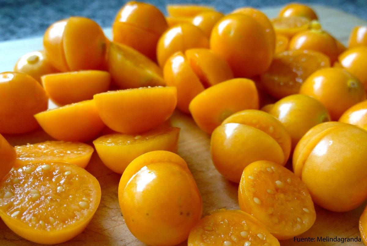 Estados Unidos abre sus puertas a la uvilla ecuatoriana | Ekosnegocios