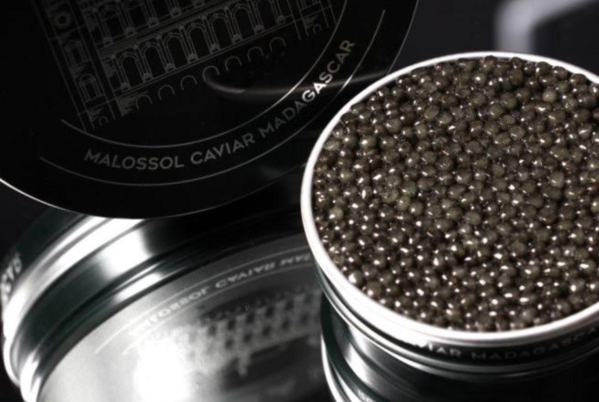 África lanza su primer caviar de lujo con un precio de más de USD 10. ...