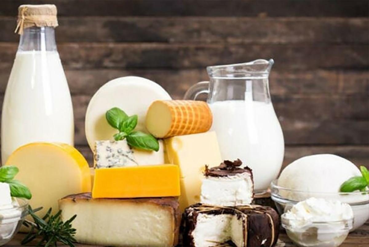 Perspectivas económicas del sector lácteo en Ecuador | Ekosnegocios