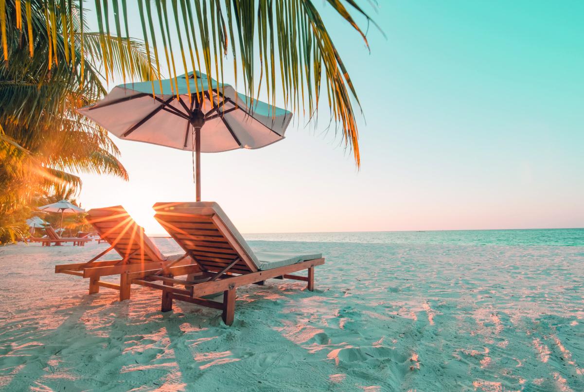 5 consejos de Harvard para un verano más sostenible | Ekosnegocios