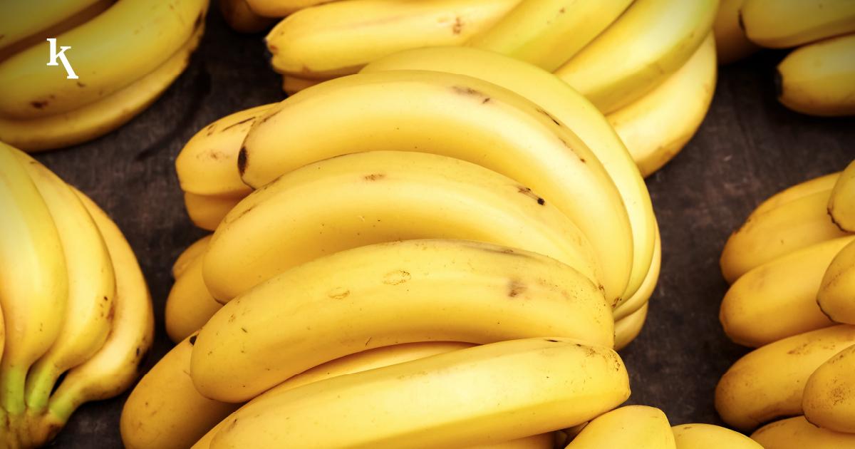 Exportaciones de banano ecuatoriano crecen 14% | Ekosnegocios
