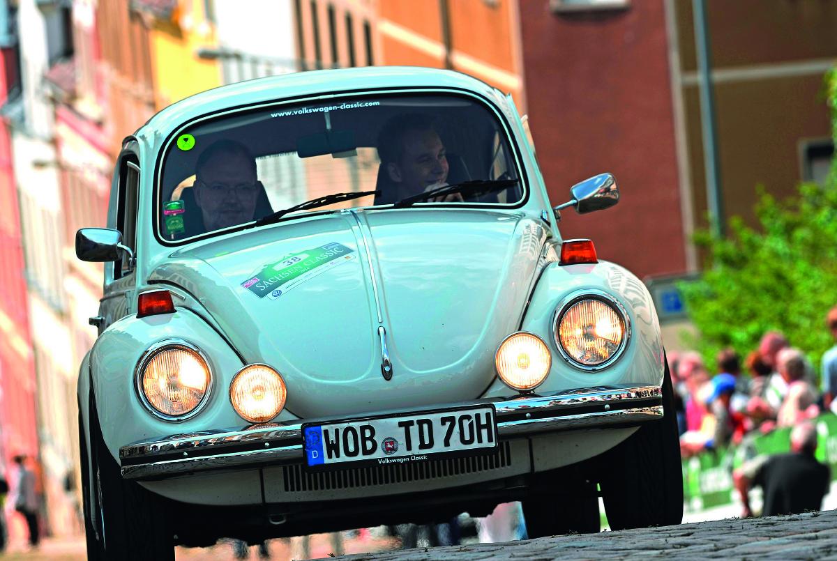 Este 22 de junio se celebrará el Día Mundial del “Pichirilo” | Ekosnegocios