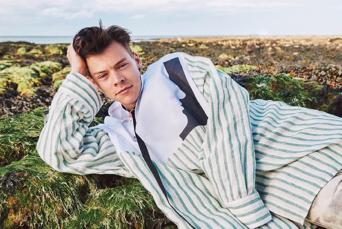 Harry Styles: Romper estereotipos con masculinidades positivas ...