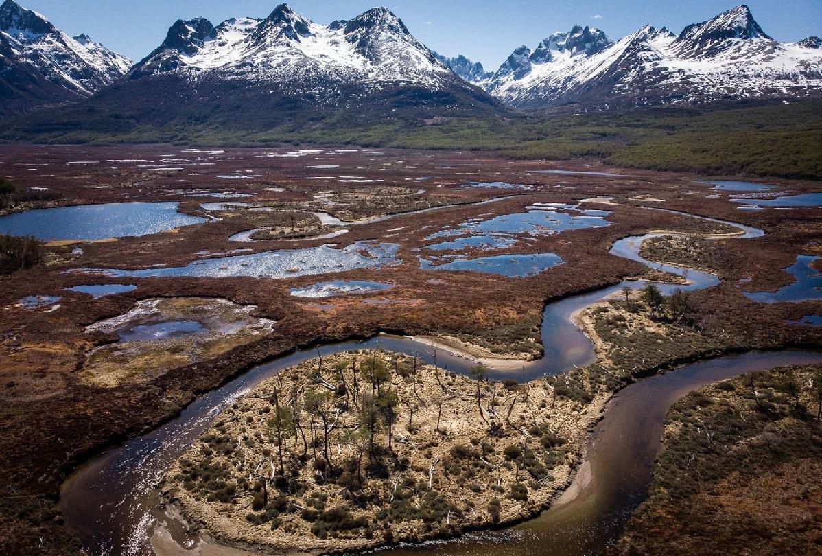 ¿Qué son las turberas? un poderoso ecosistema y almacén de carbono ...