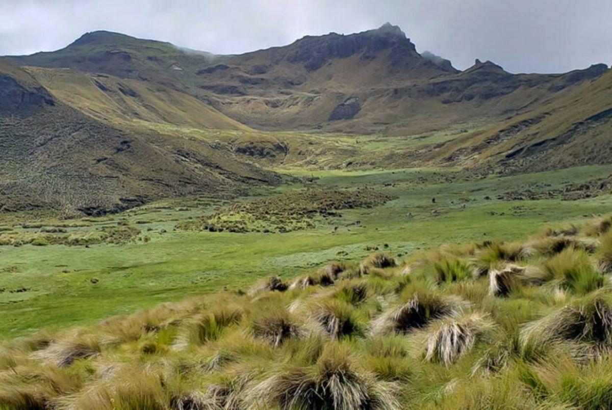 Ecuador tiene una nueva área de protección hídrica en el páramo ...