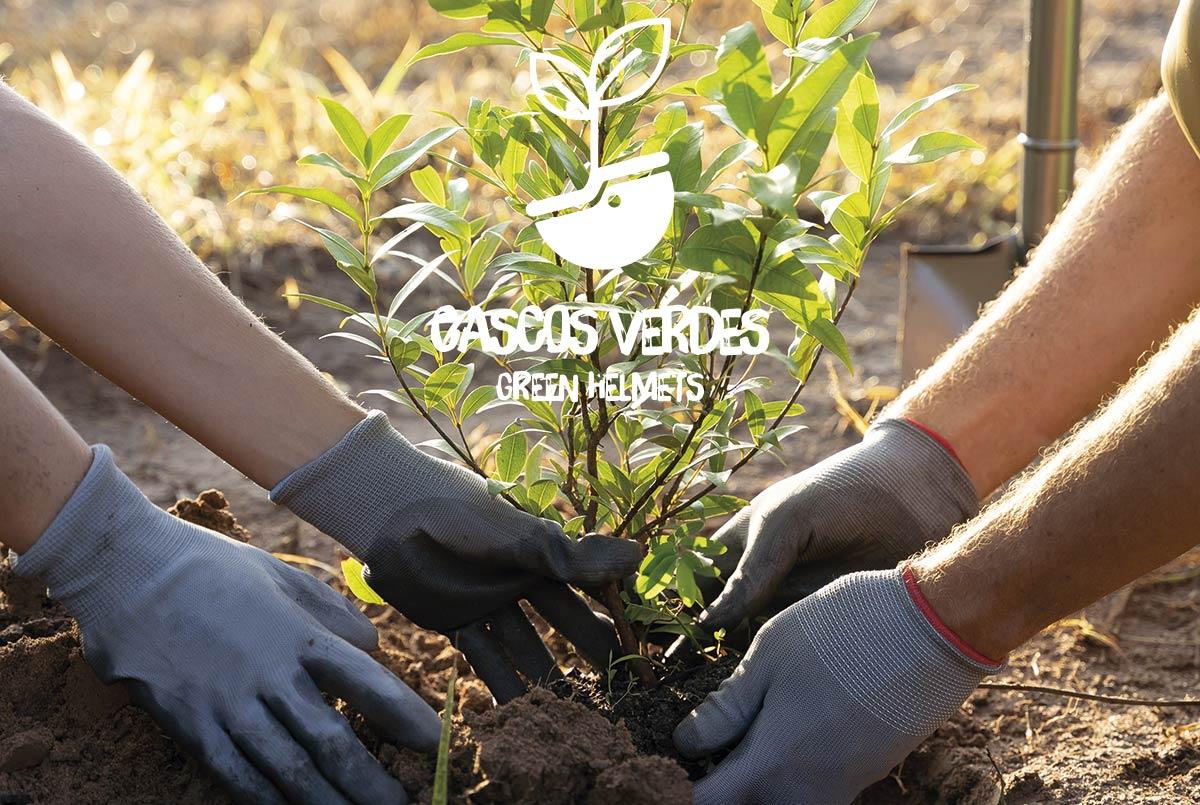 CIFAL Málaga: Lidera el camino hacia un futuro sostenible a través de ...