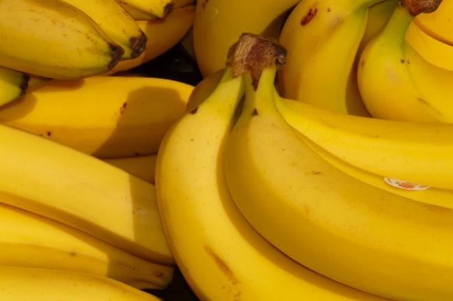 Ecuador exporta casi el 25% del banano del mundo | Ekosnegocios